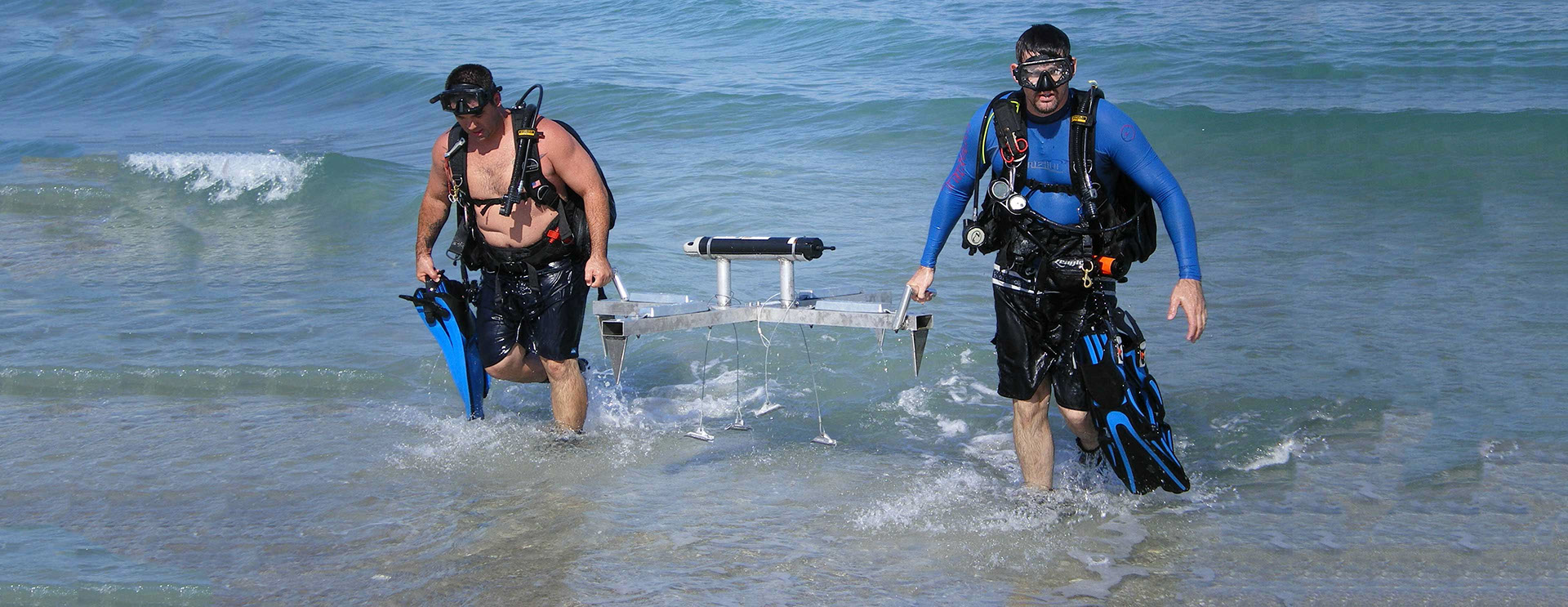 OceanIllumination - Display and Data Processing Software for ...